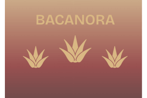 Bacanora - San Diego Food + Wine Festival™